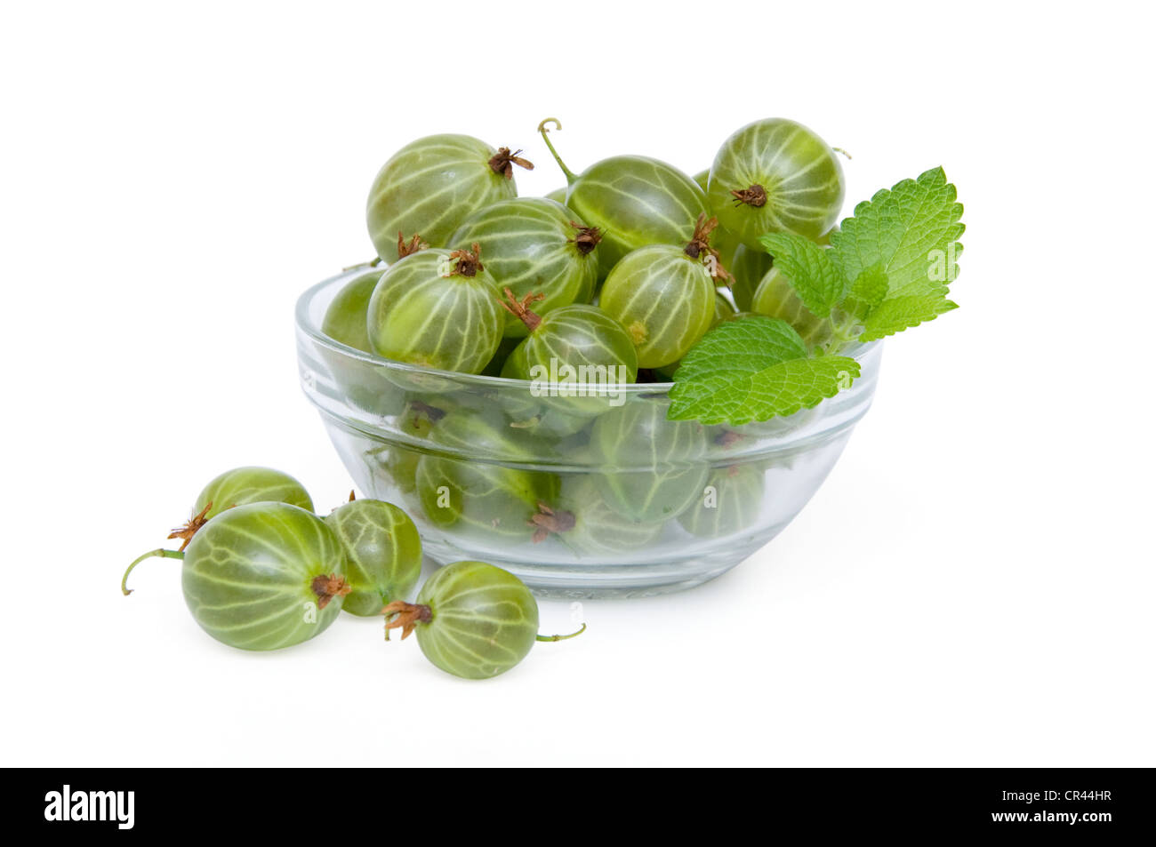 Confiture de groseille Banque de photographies et d’images à haute ...