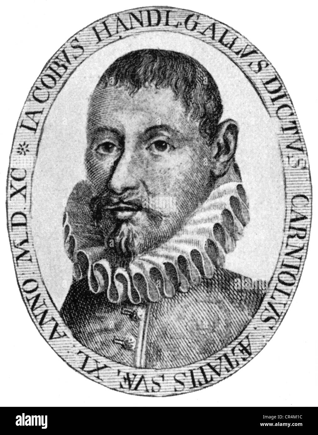 Jacobus gallus Banque de photographies et d’images à haute résolution ...