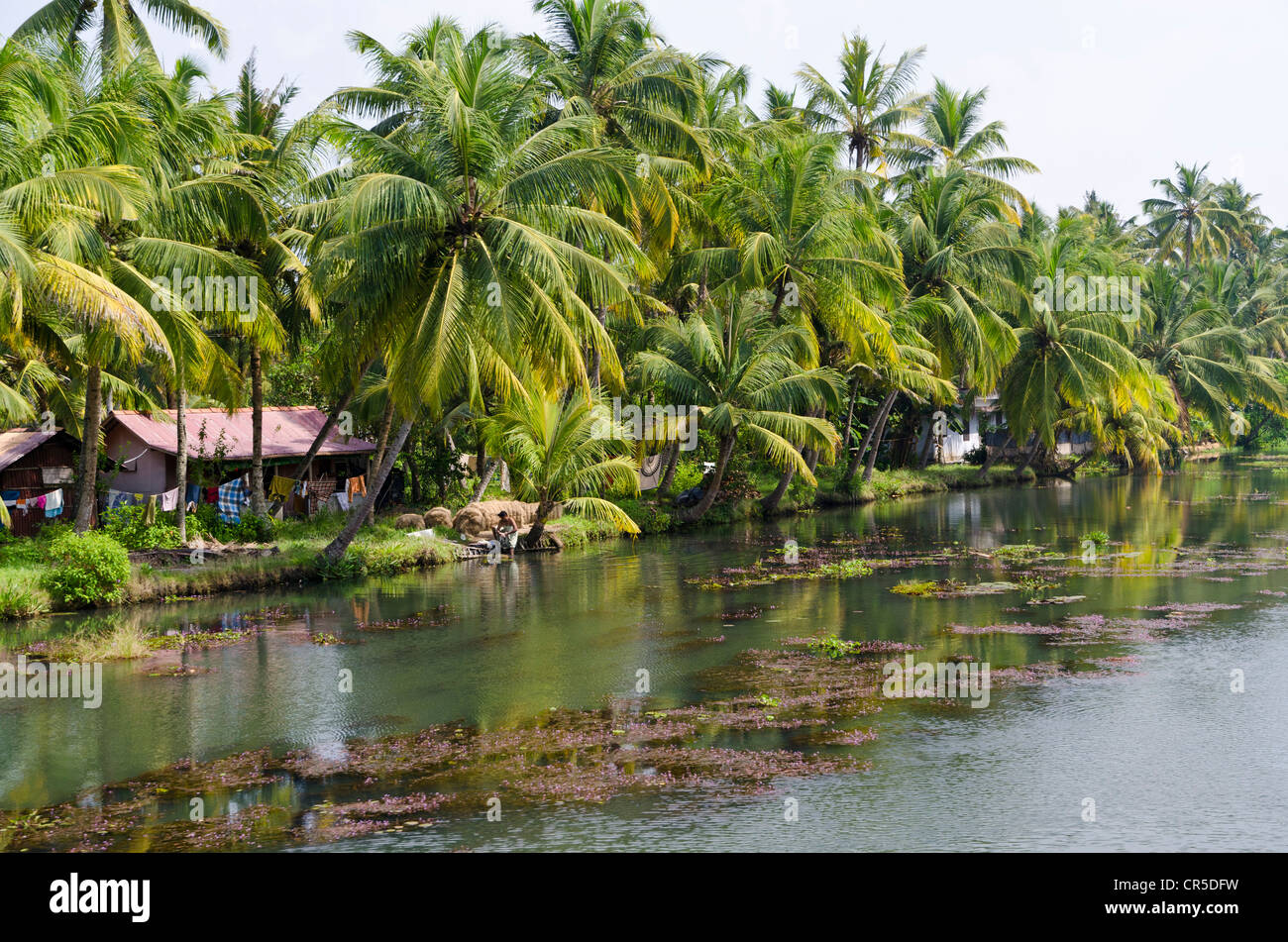Paysage kerala Banque de photographies et d’images à haute résolution ...
