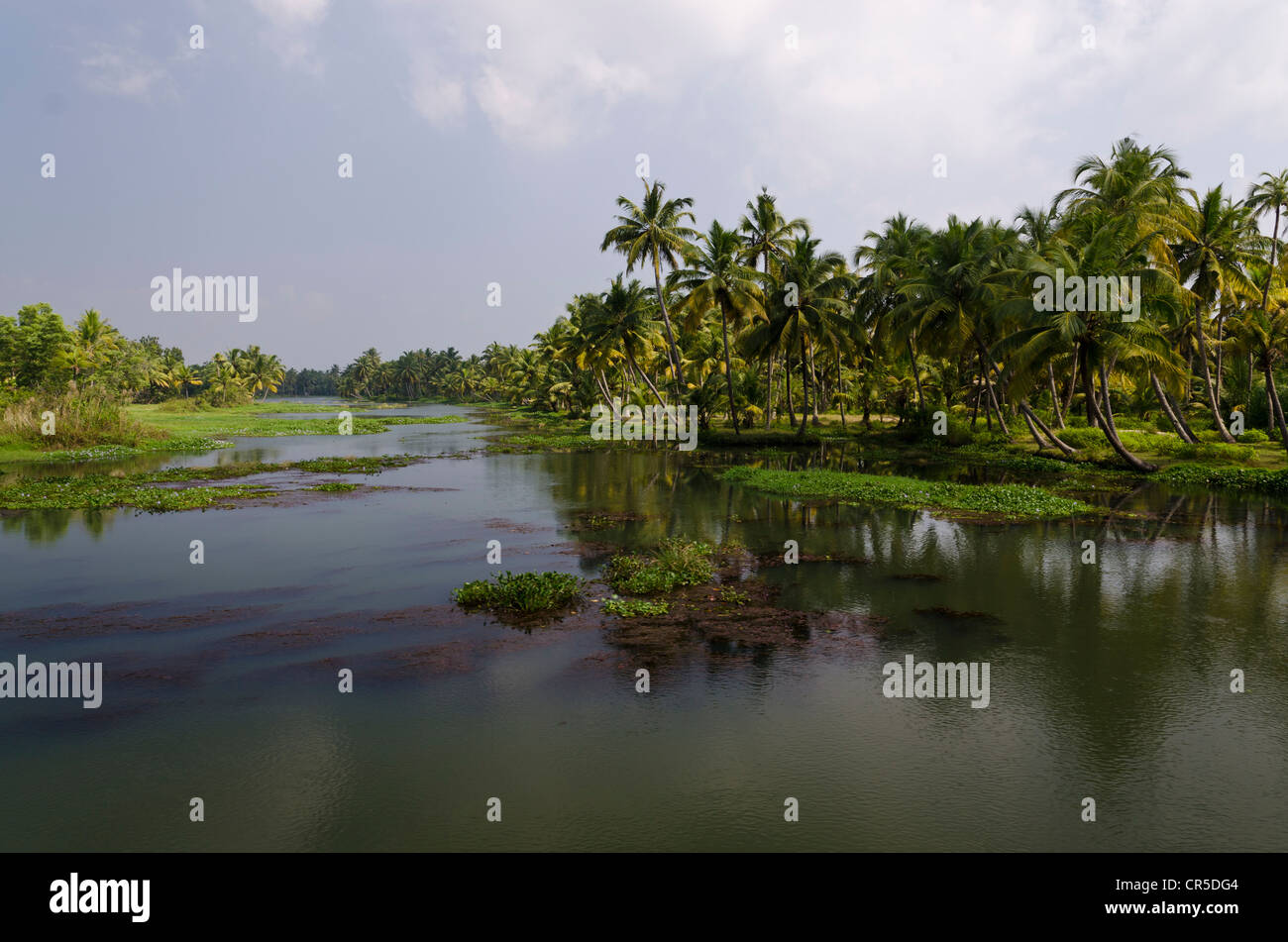 Paysages des backwaters du kerala Banque de photographies et d’images à ...