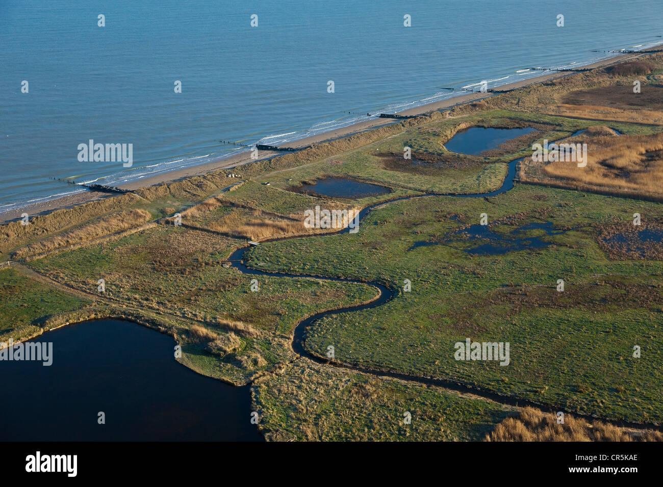 France, Calvados, Ver sur Mer, des marais aux côtés de Gold Beach (vue ...