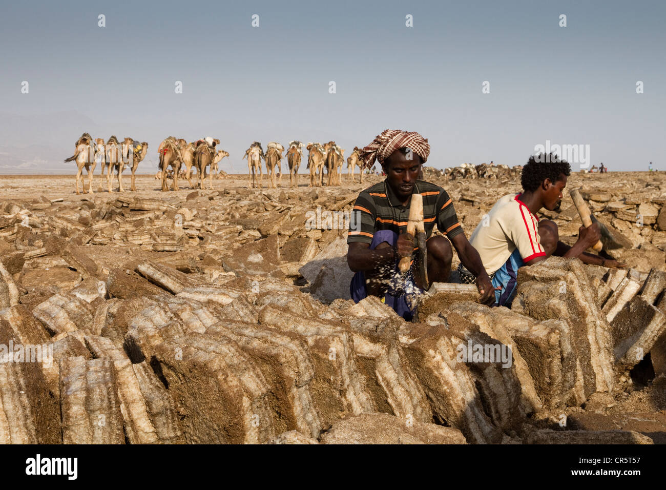 Salt Mines In Africa