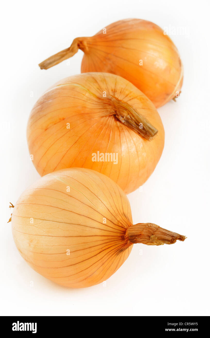 Oignons bruns Banque d'images détourées - Alamy