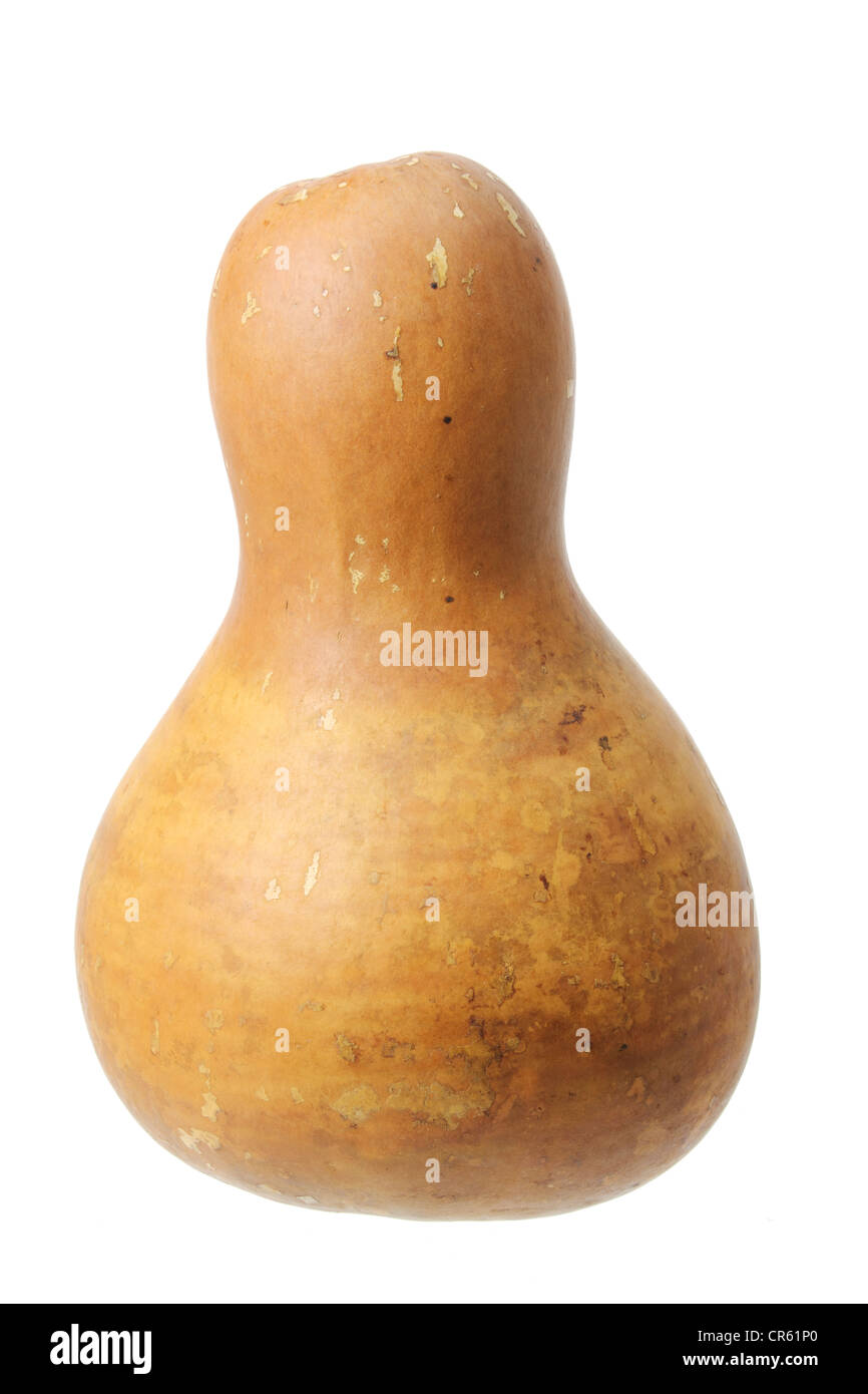 Courge chinoise Banque d'images détourées - Alamy