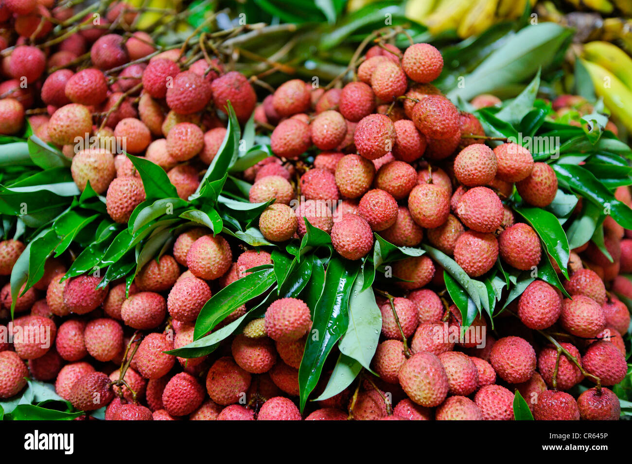 Fruits maurice Banque de photographies et d’images à haute résolution ...