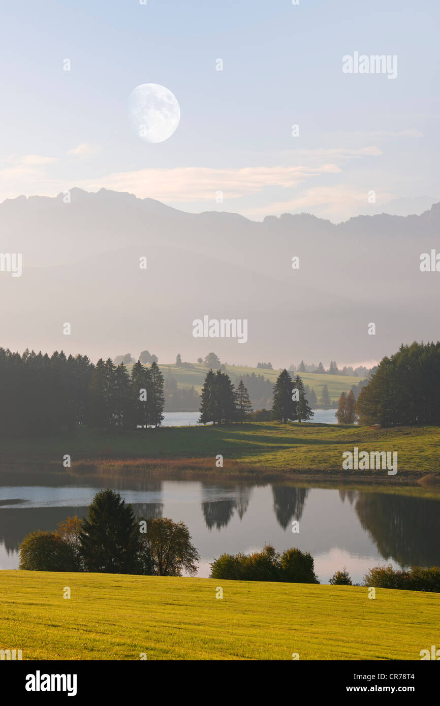Le lac Forggensee, matin ambiance avec la Lune, Allgaeu, Bavaria ...