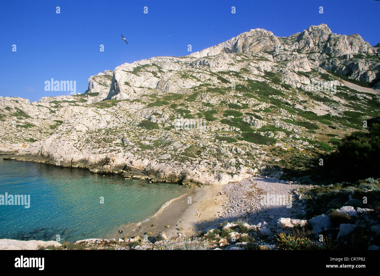 France, Bouches du Rhône, Marseille, l'archipel de Riou, l'île de Riou ...
