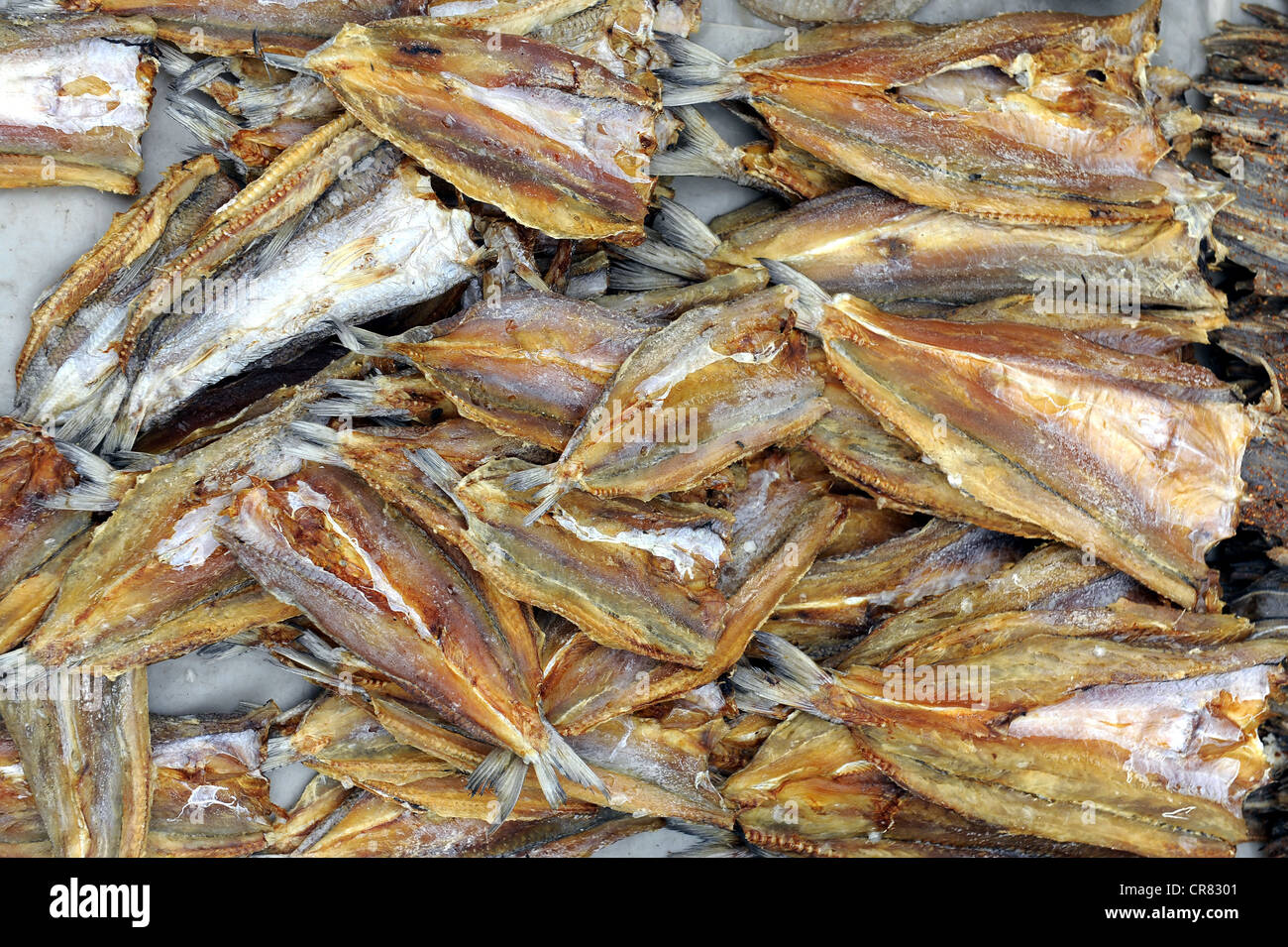 Poissons secs Banque de photographies et d’images à haute résolution ...