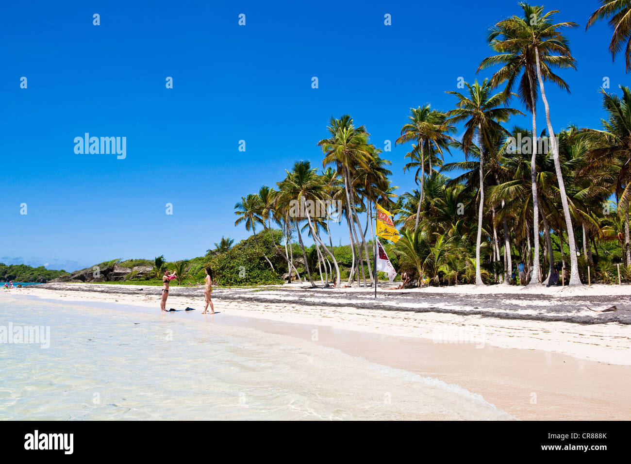 La France, à la Martinique (Antilles françaises), Cap Chevalier, Anse ...