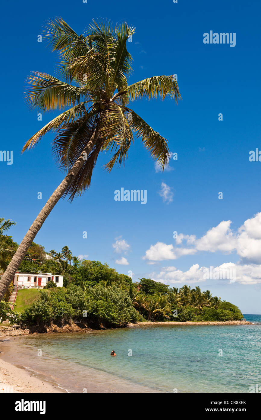 Plage anse mitan Banque de photographies et d’images à haute résolution ...