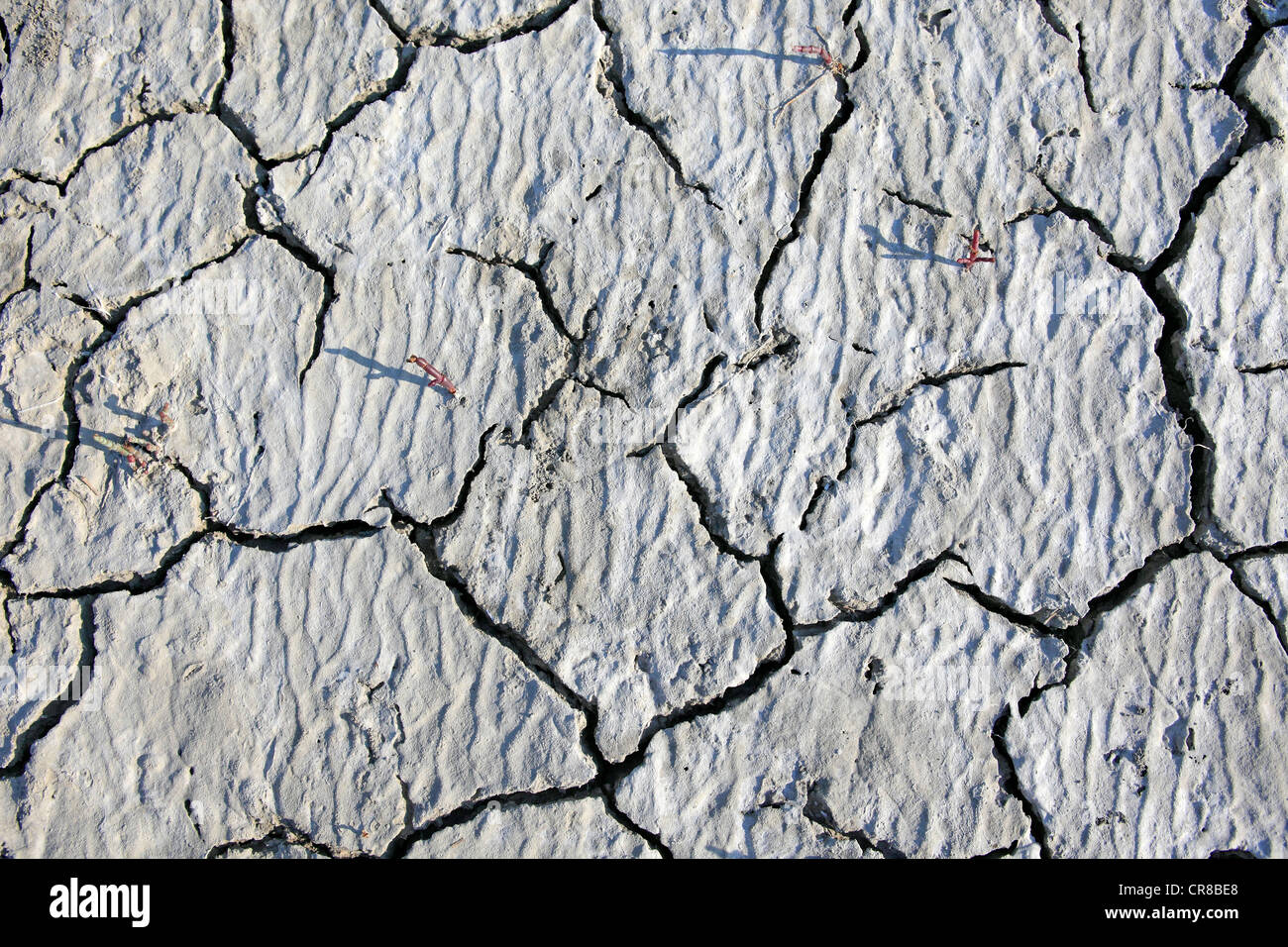 Surface du sol desséché, Saintes Maries-de-la-Mer, Bouches du Rhône ...