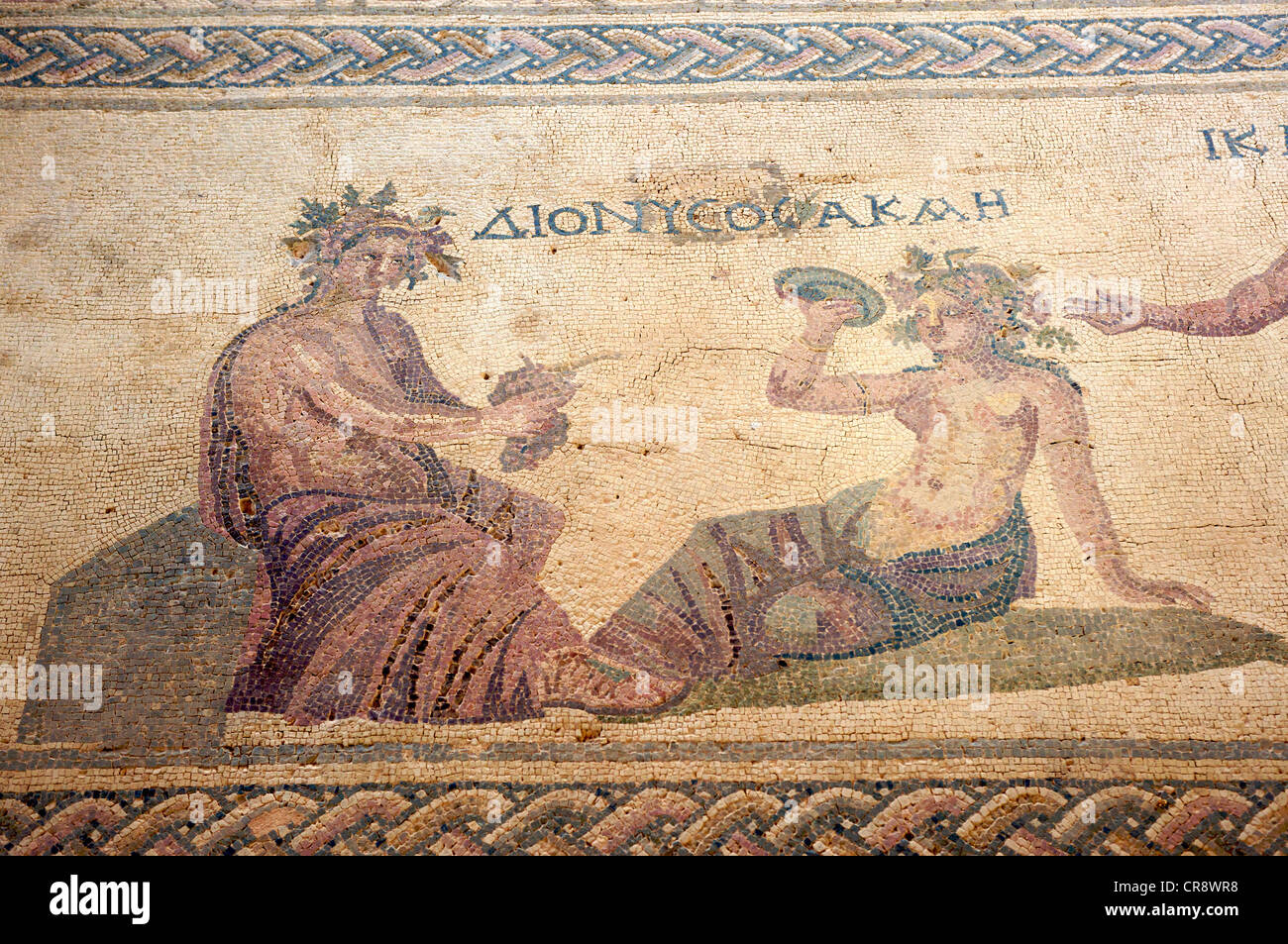 Mosaïque dans la maison de dionysos Banque de photographies et d’images à haute résolution - Alamy