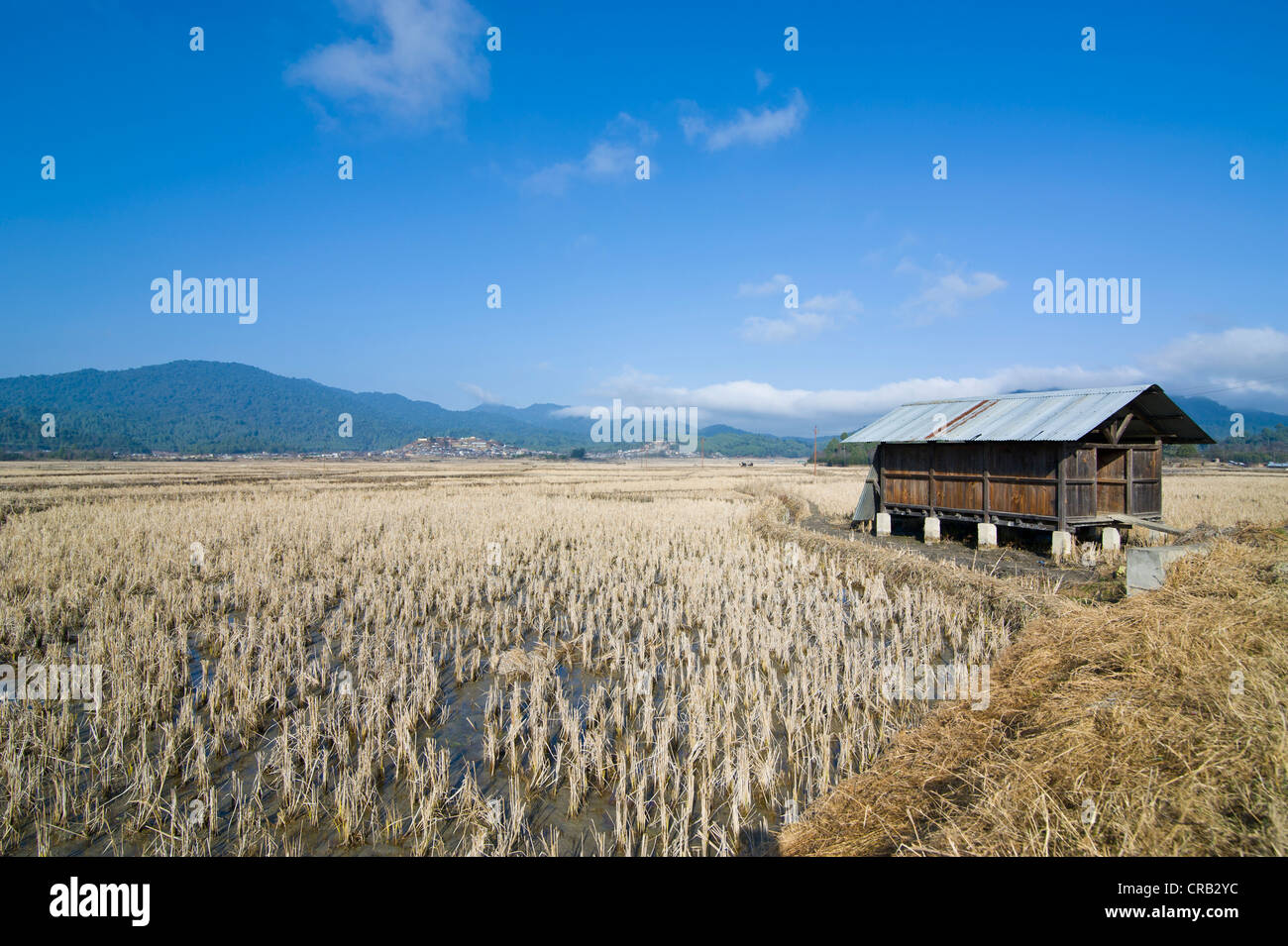 Northeast india Banque de photographies et d’images à haute résolution - Alamy