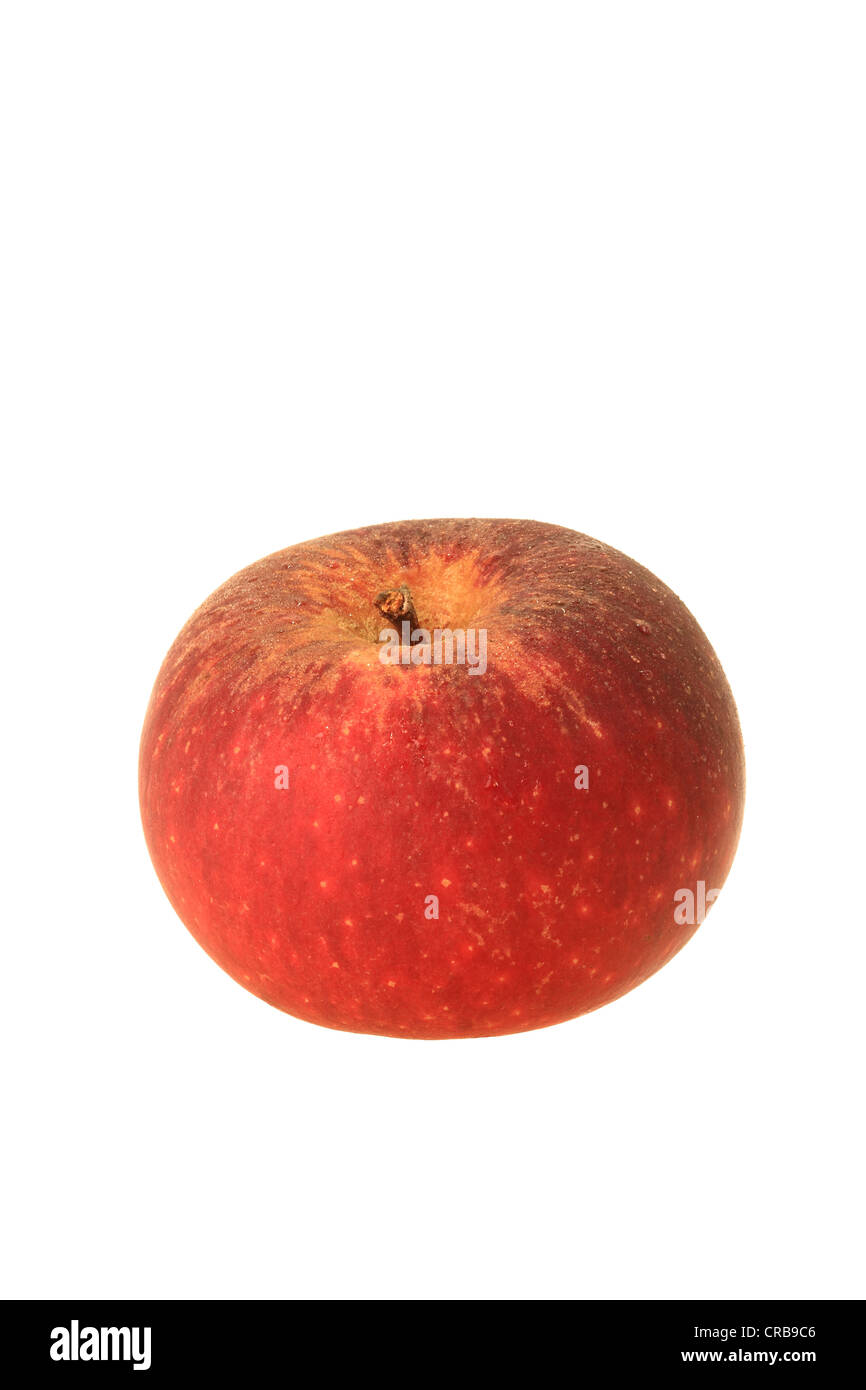 Pomme ingrid marie Banque de photographies et d’images à haute ...