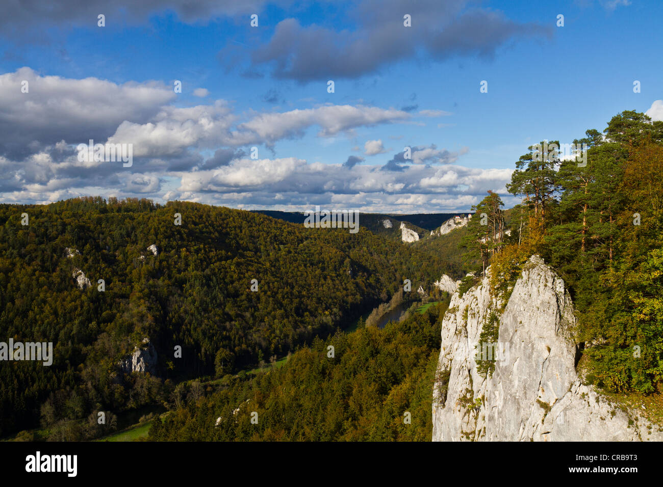 Vue vers le château de Schloss Bronnen, la vallée du Danube, Landkreis ...