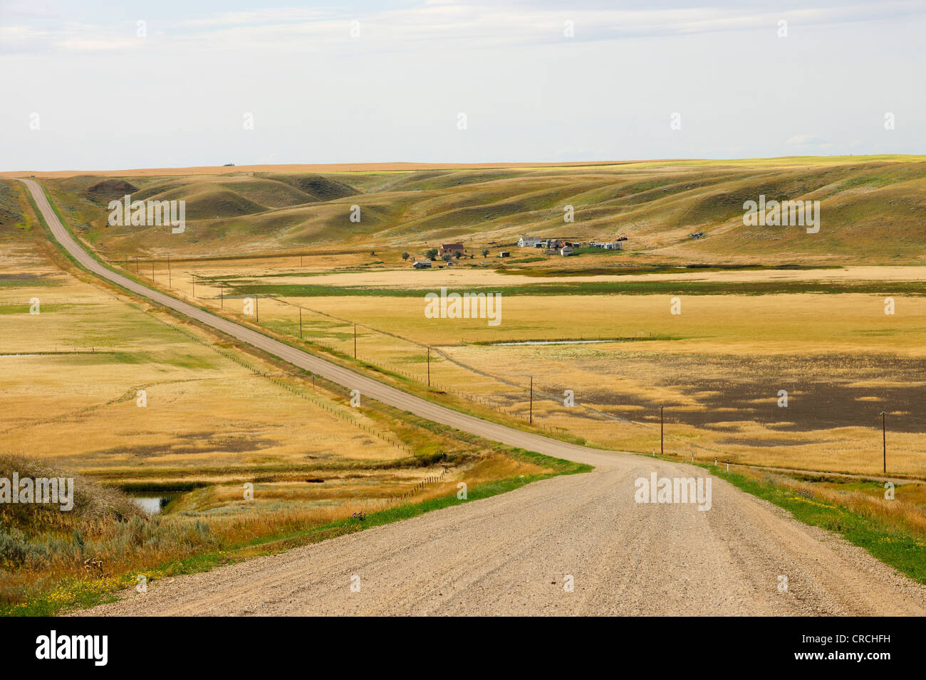 Alberta prairie Banque de photographies et d’images à haute résolution ...
