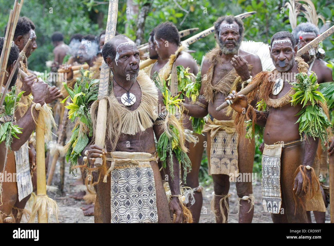 Peuple primitif, l'île de Santa Cruz, les Îles Salomon, Mélanésie ...