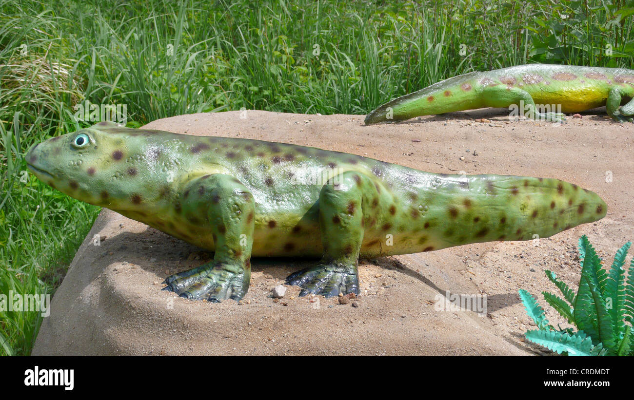 Ichthyostega ichthyostega Banque de photographies et d’images à haute résolution - Alamy