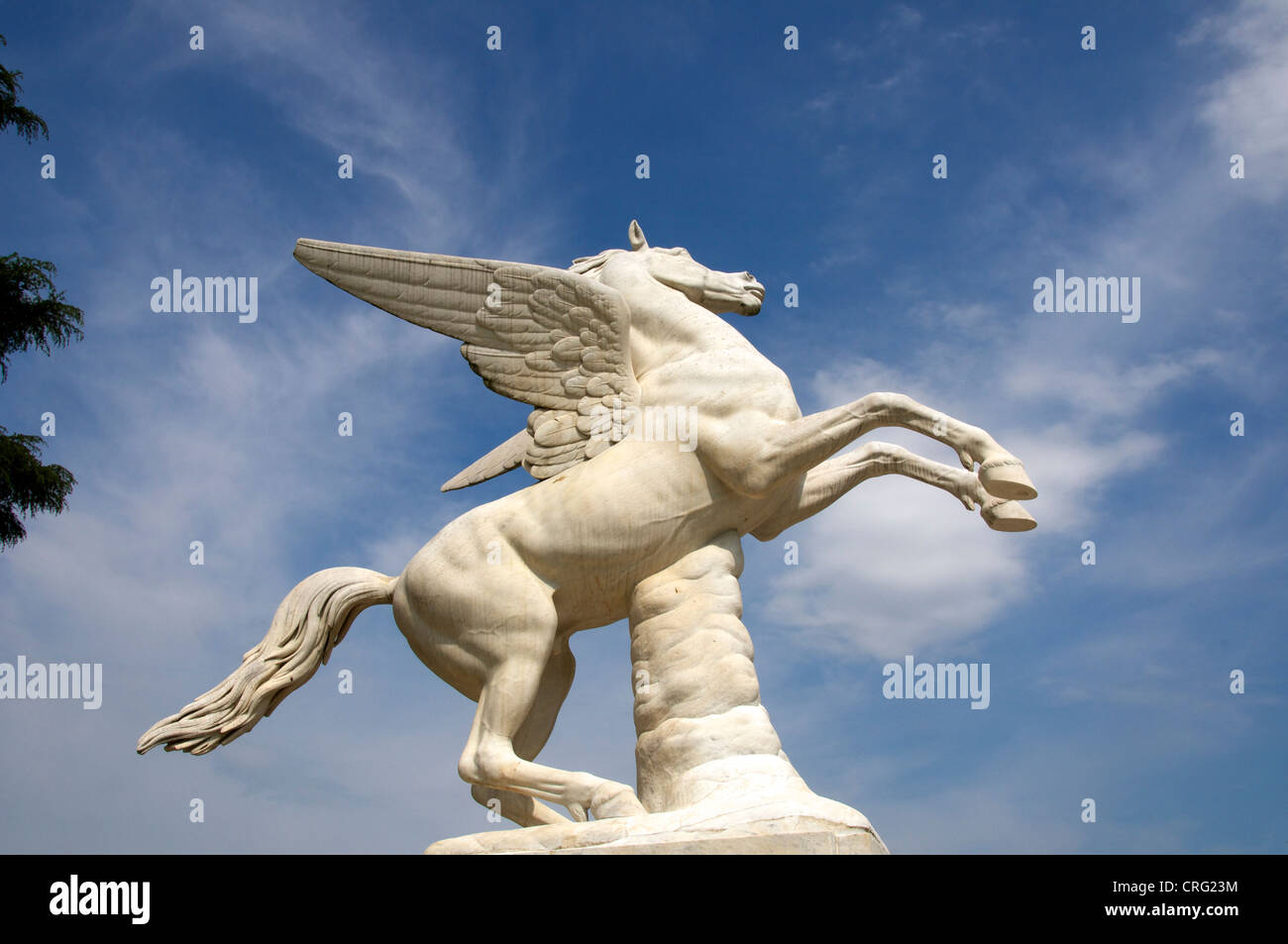 Le cheval ailé Pégase Aristodemo Costoli sculptée par 1865 Boboli ...