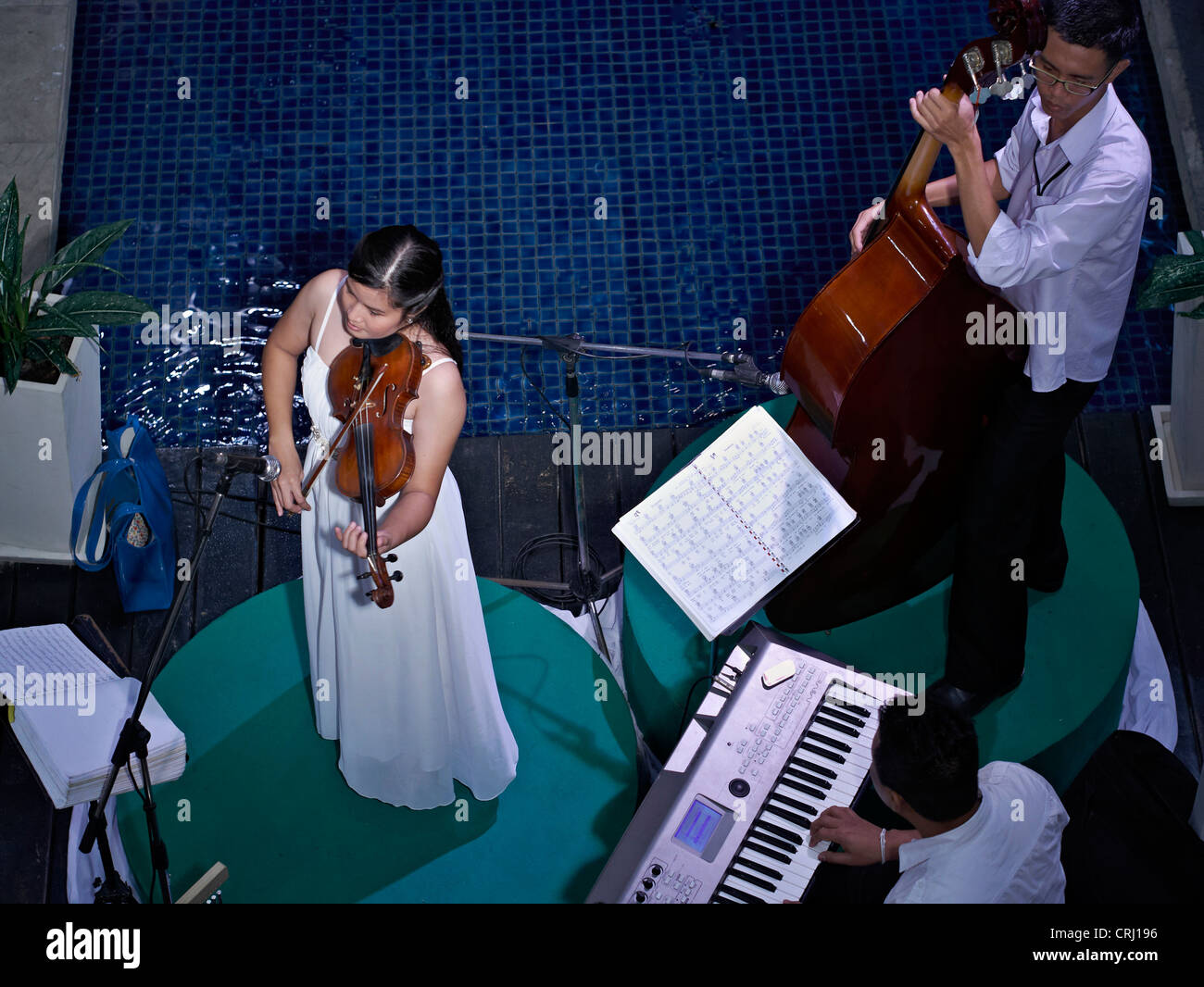 Violoniste classique Banque de photographies et d’images à haute ...