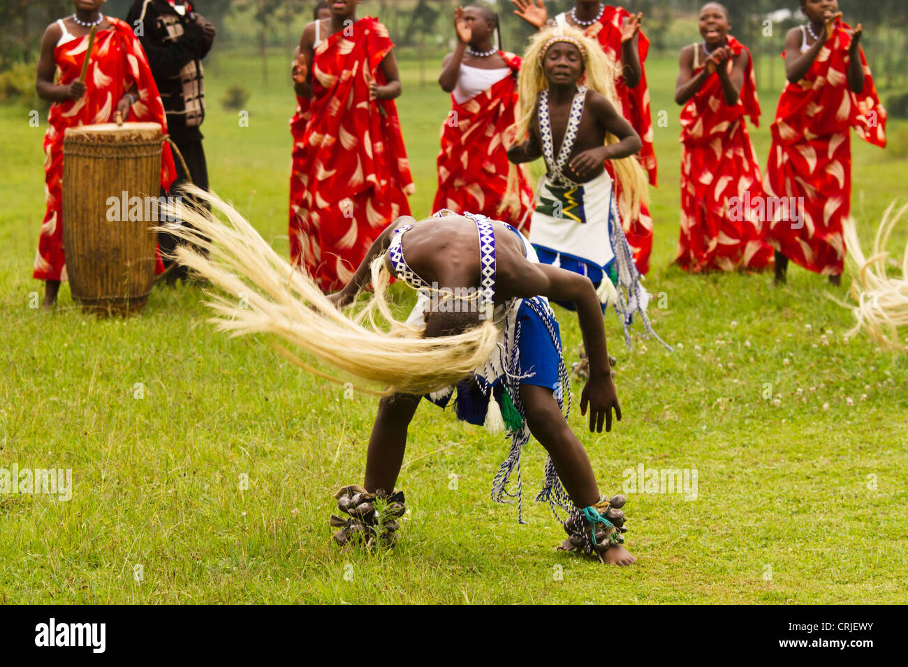 L'Afrique, Rwanda, Gorille de montagne Nest Lodge, danseurs Tutsi ...