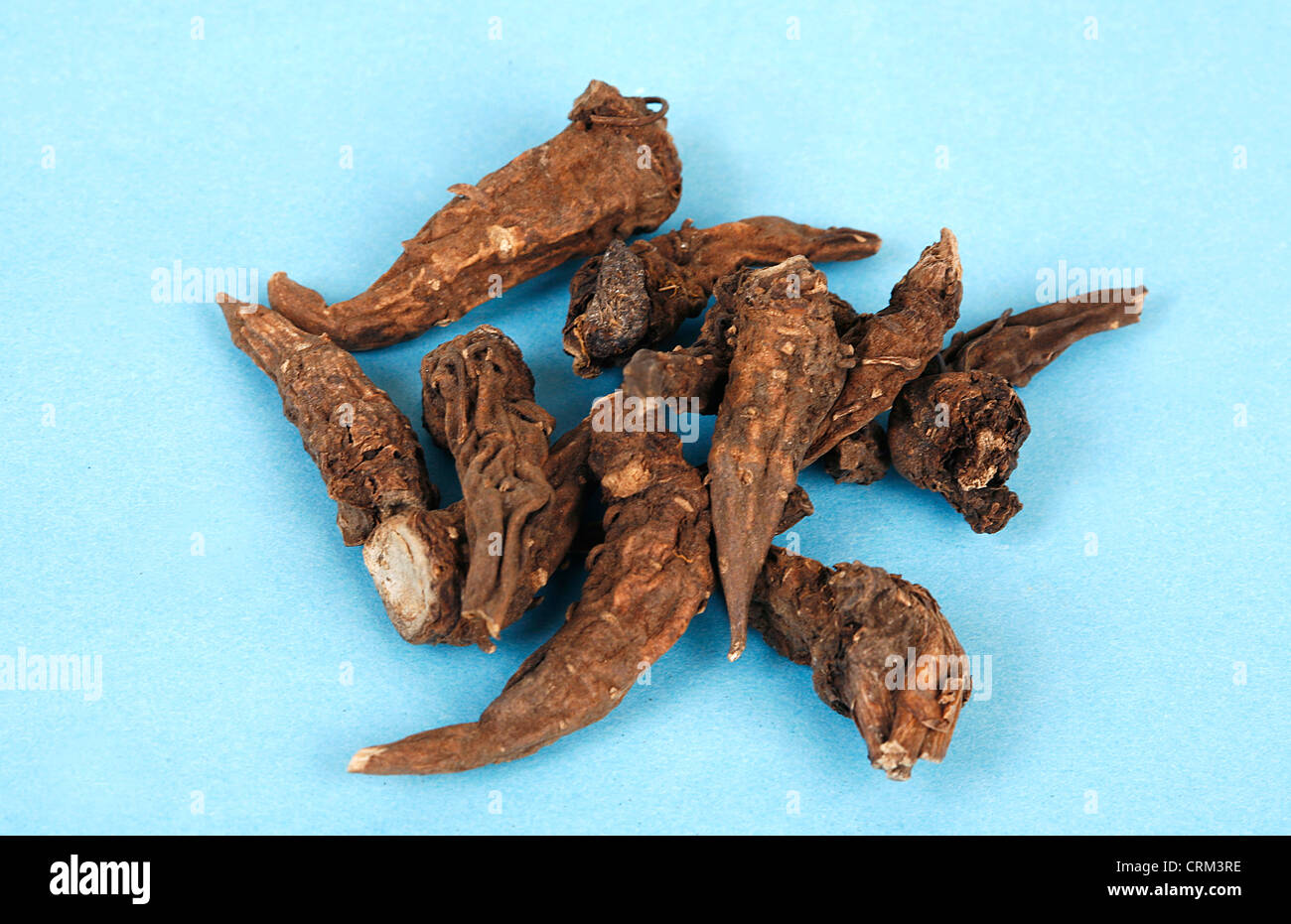 Racine tubéreuse Banque de photographies et d’images à haute résolution ...