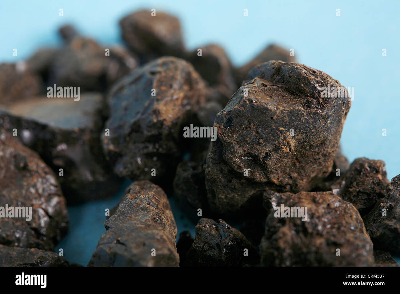 La gomme de Guaiacum est utilisé pour traiter une variété de conditions ...