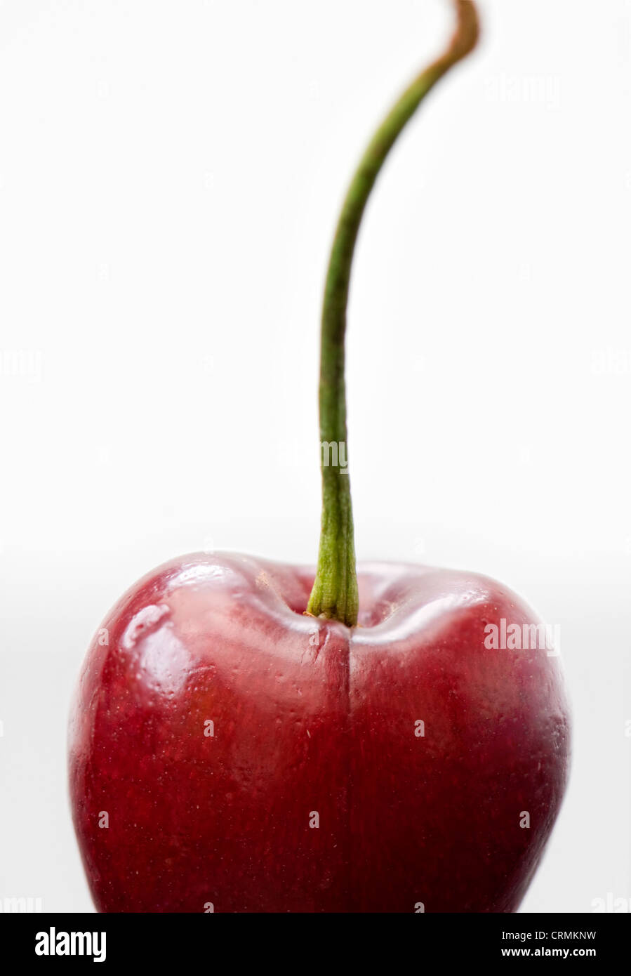 Cerises Sur Fond Blanc Banque d'image et photos - Alamy