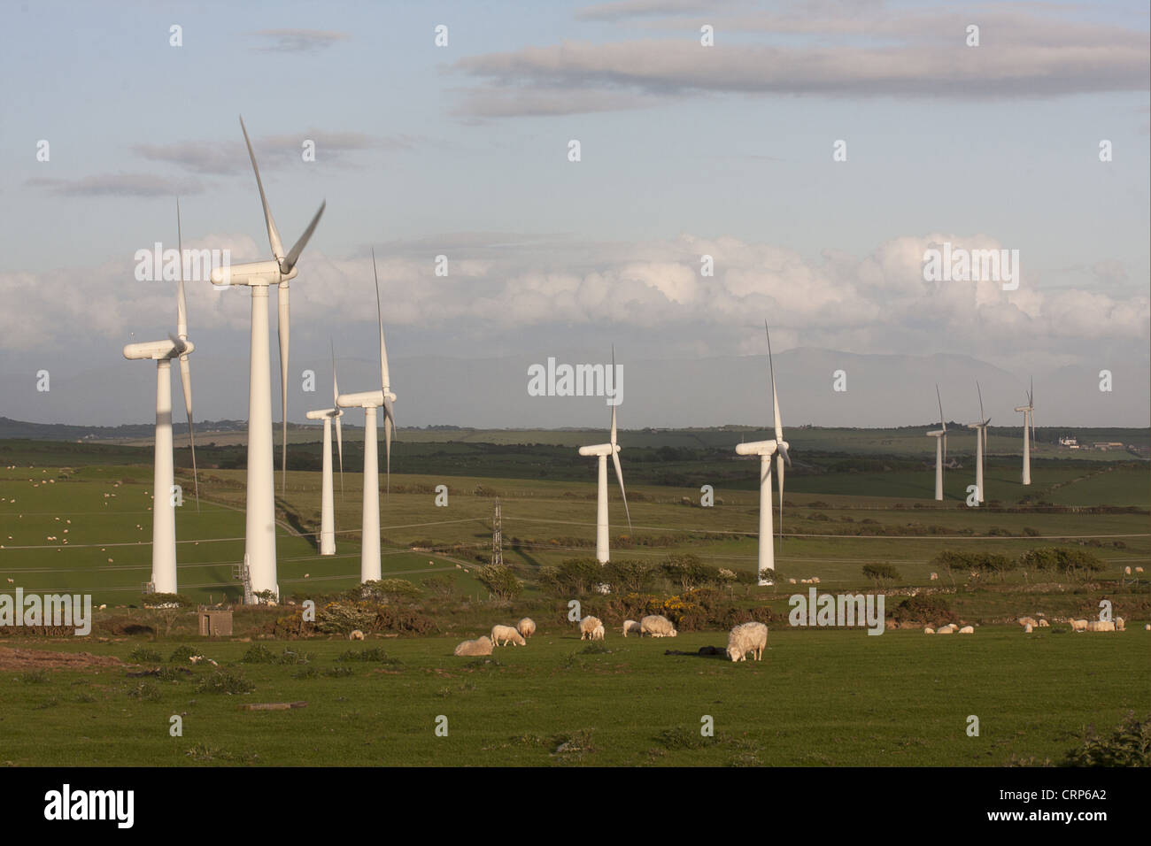 Éoliennes sur les éoliennes, avec des moutons paissant en premier plan ...
