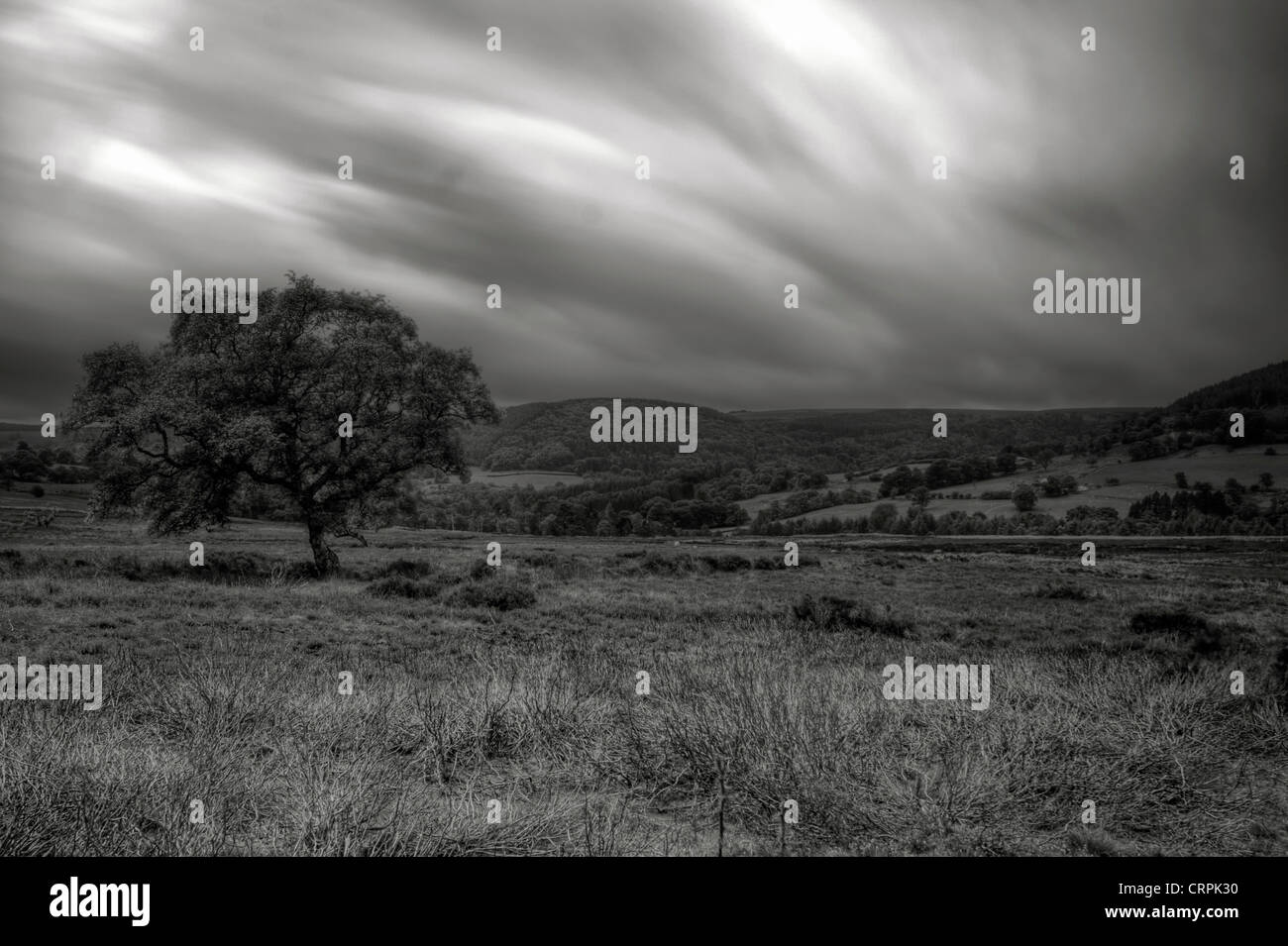 White moors Banque de photographies et d’images à haute résolution - Alamy