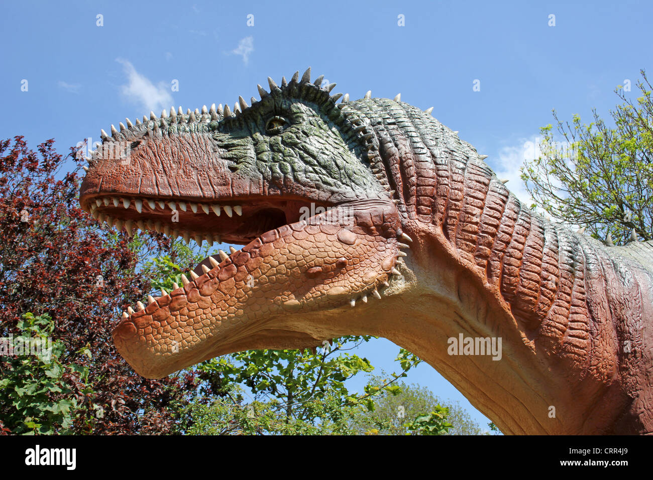 Dinosaur of the late jurassic period Banque de photographies et d’images à haute résolution - Alamy