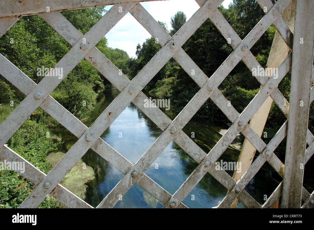 Peu d'Ouse river à Santon Downham, La Forêt de Thetford, Norfolk, UK ...