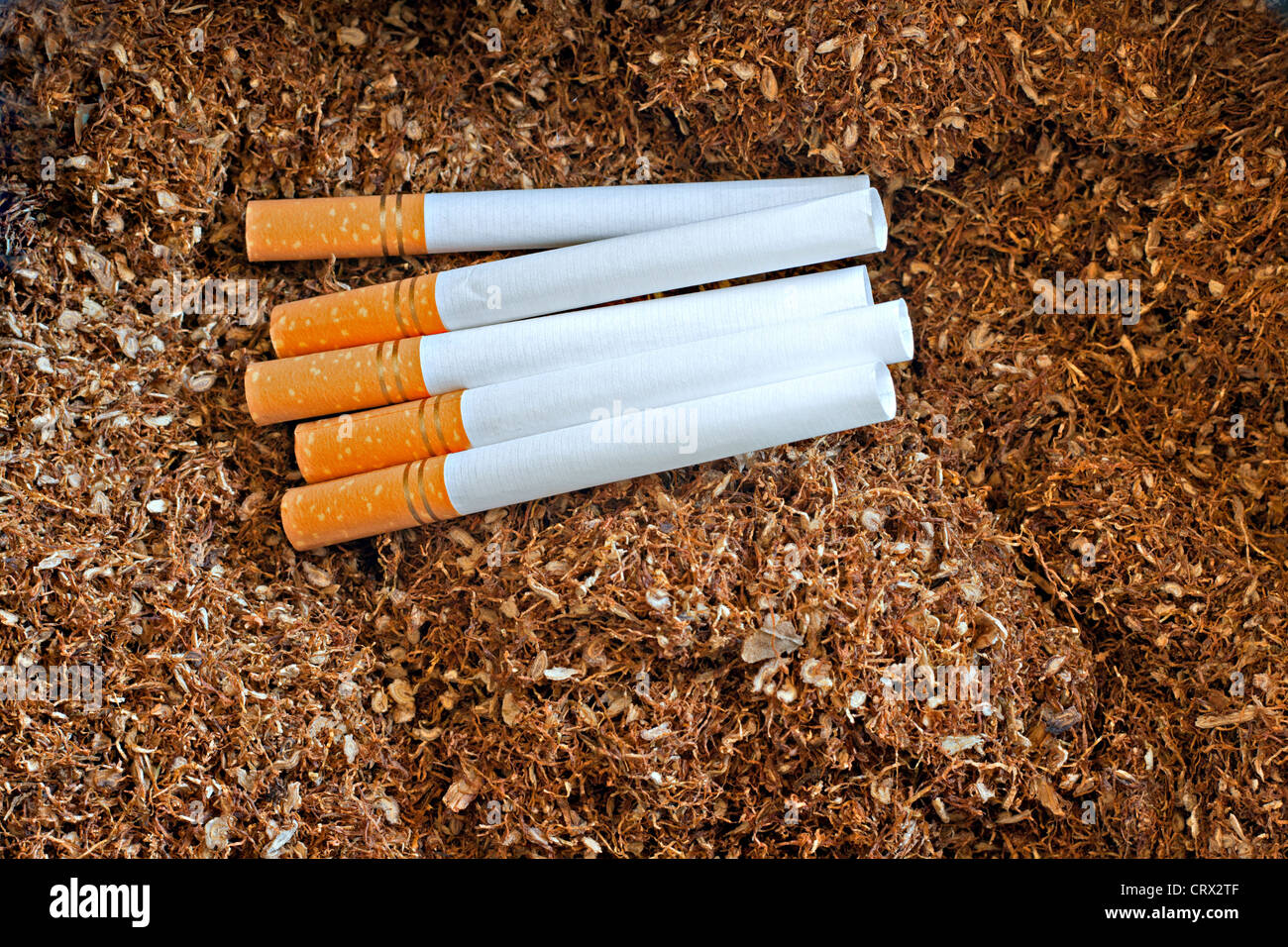 Sur des tubes à cigarettes de tabac à rouler à la main Photo Stock - Alamy