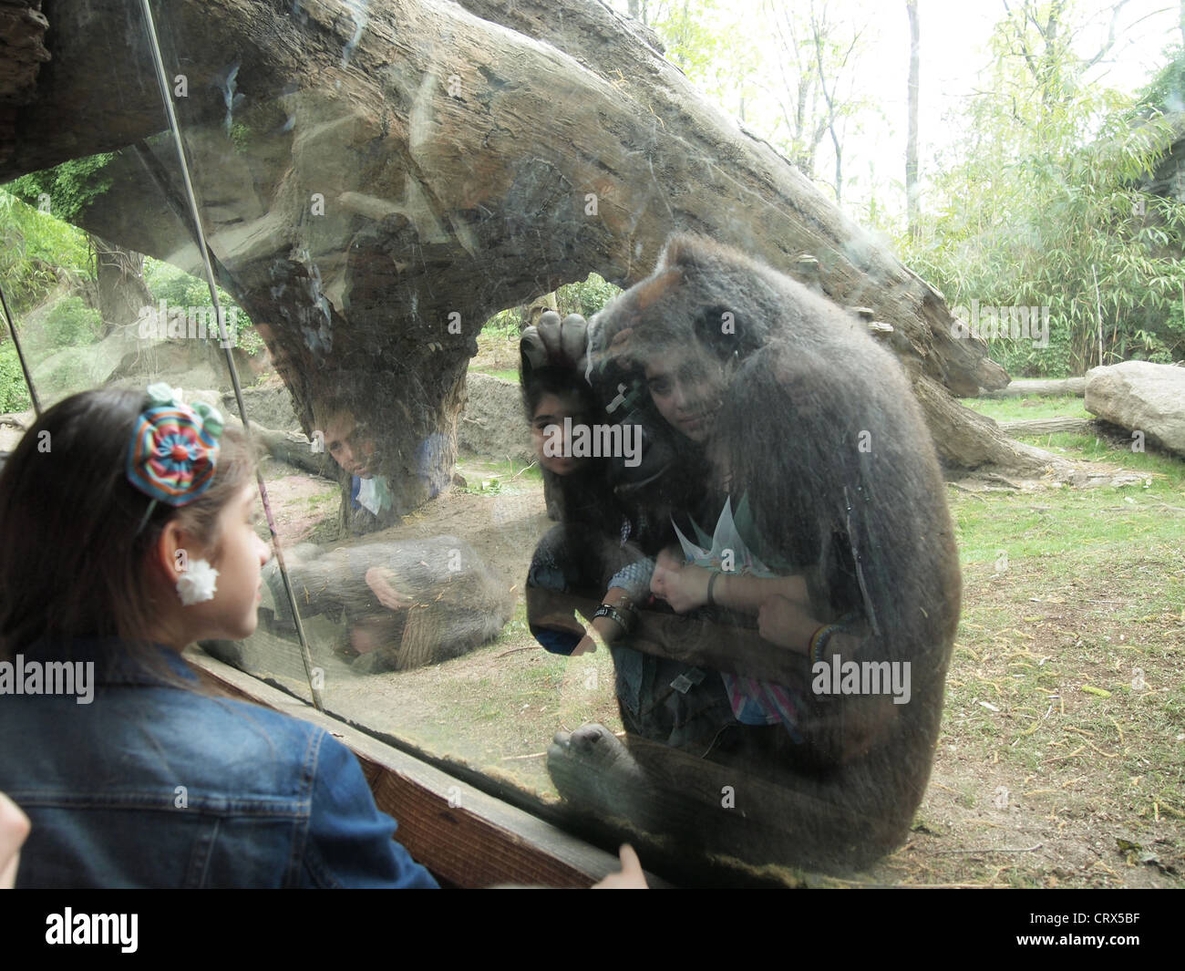 Human zoos Banque de photographies et d’images à haute résolution - Alamy
