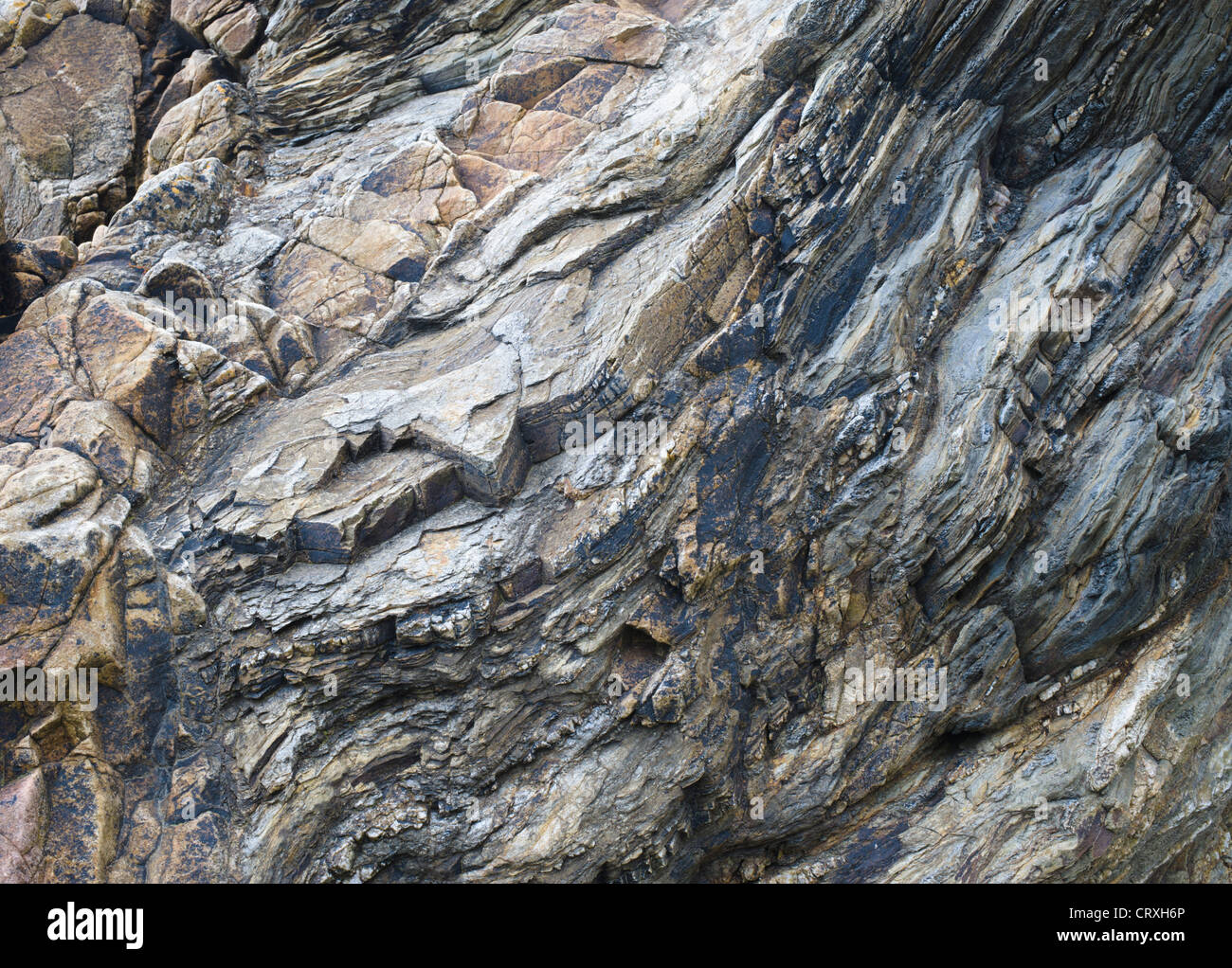 Le contact entre le granite et le schiste Leinster sur White Rock Beach ...