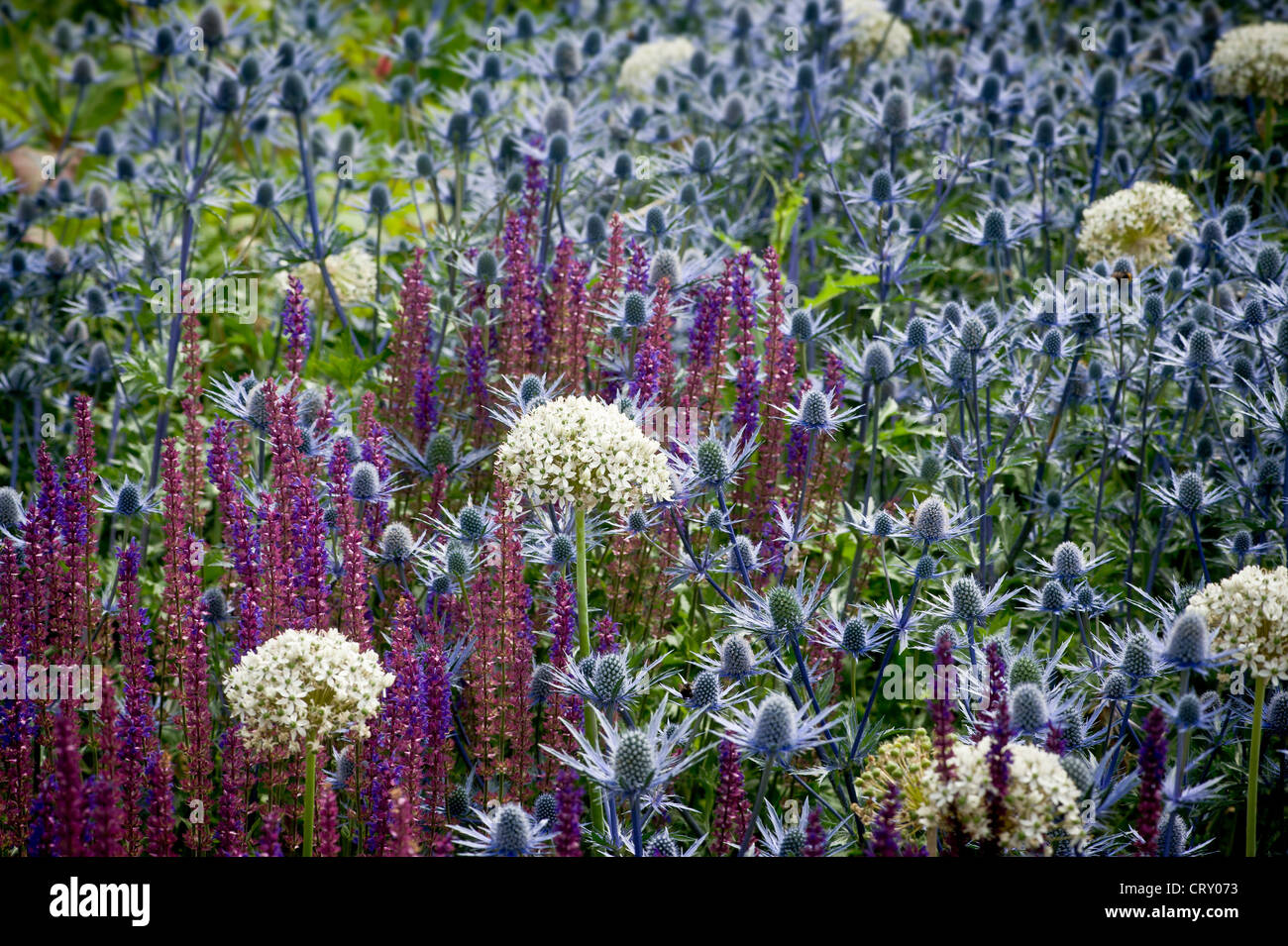 Mixed border Banque de photographies et d’images à haute résolution - Alamy
