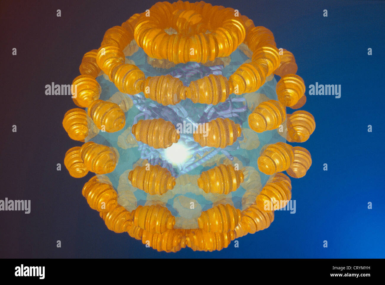 Virus de la rougeole, illustration Banque de photographies et d’images ...