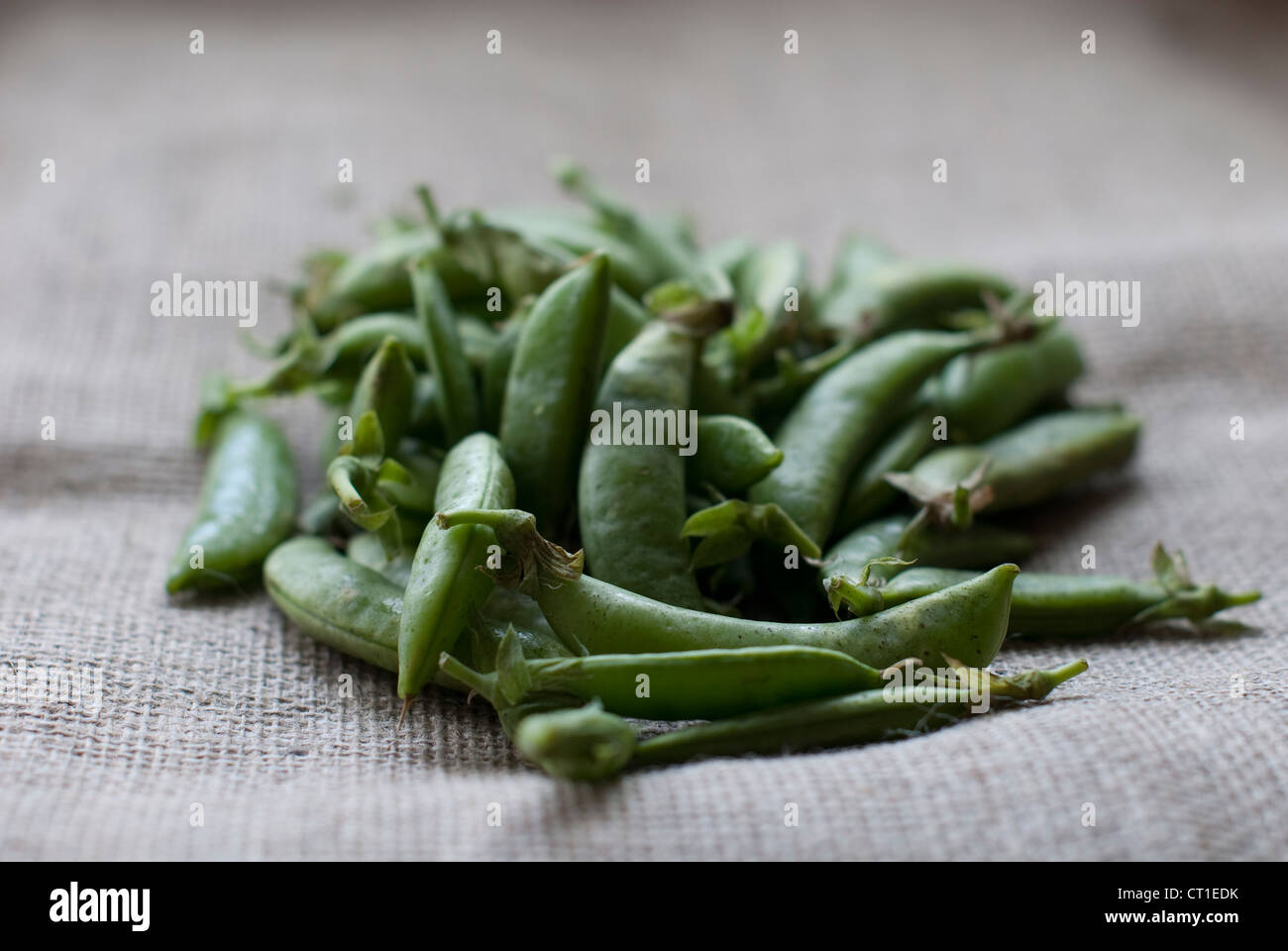 Snap peas Banque de photographies et d’images à haute résolution - Alamy