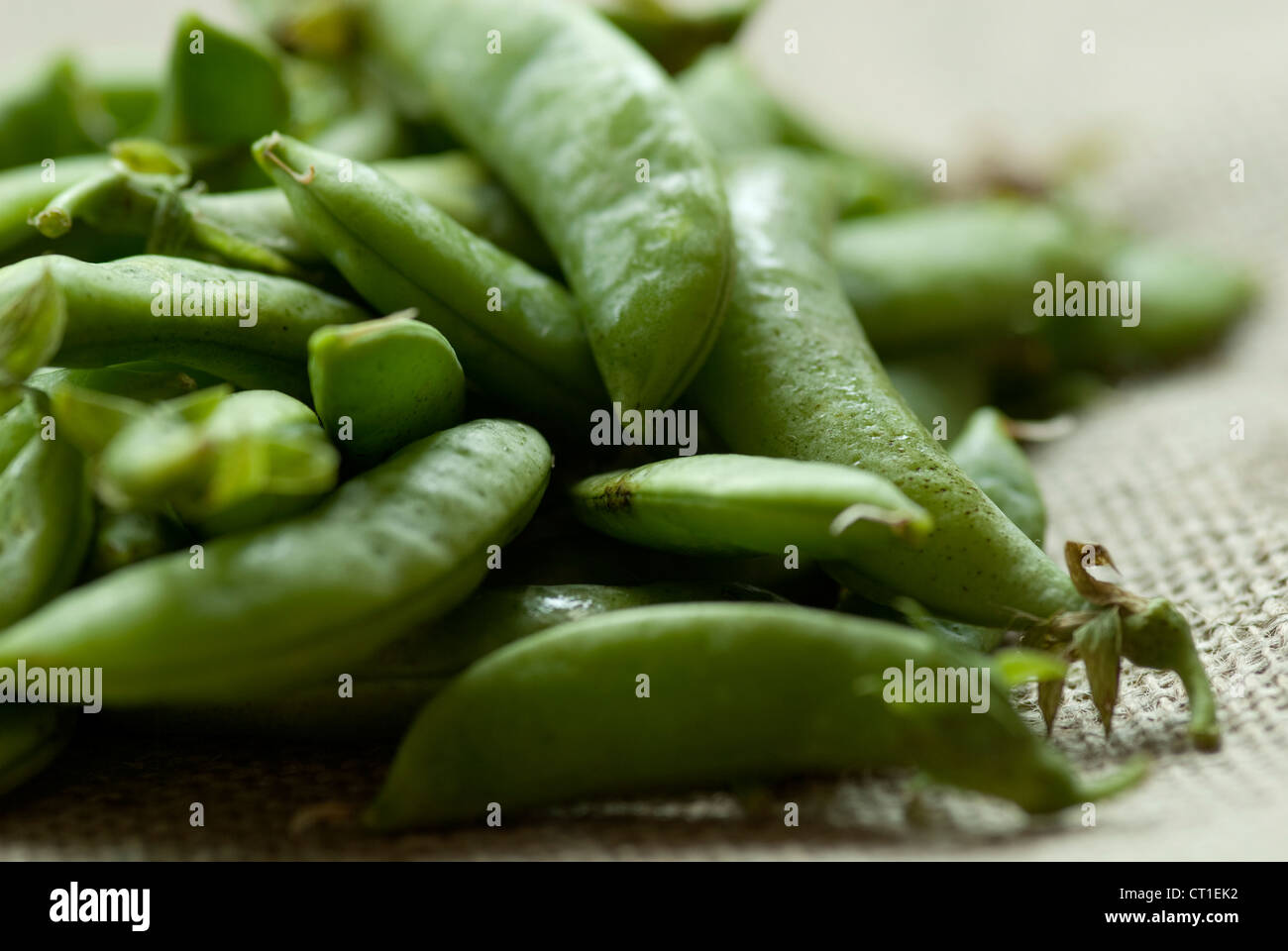 Snap peas Banque de photographies et d’images à haute résolution - Alamy
