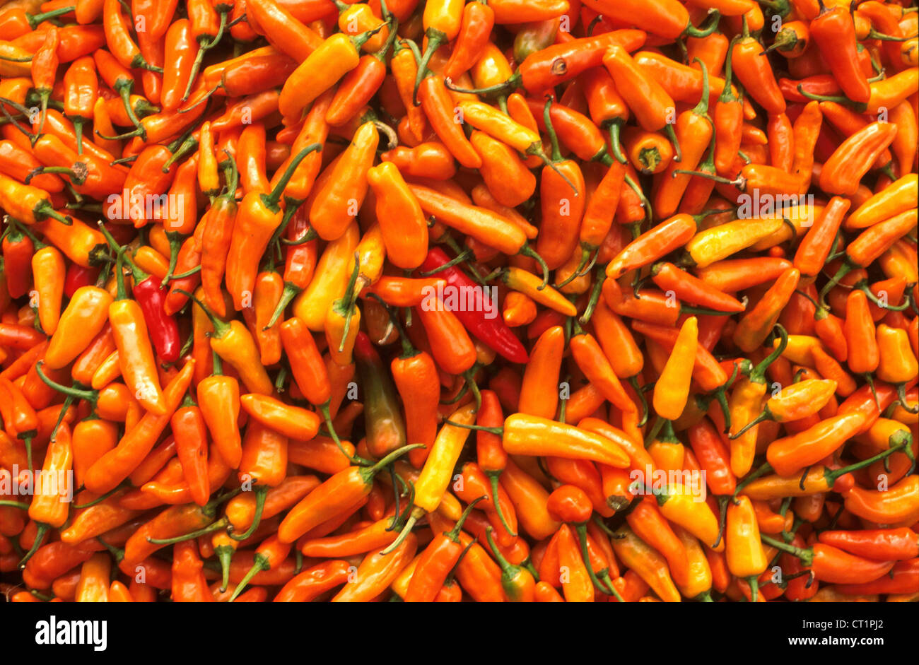 Piment ou piment ou piments forts Banque de photographies et d’images à ...