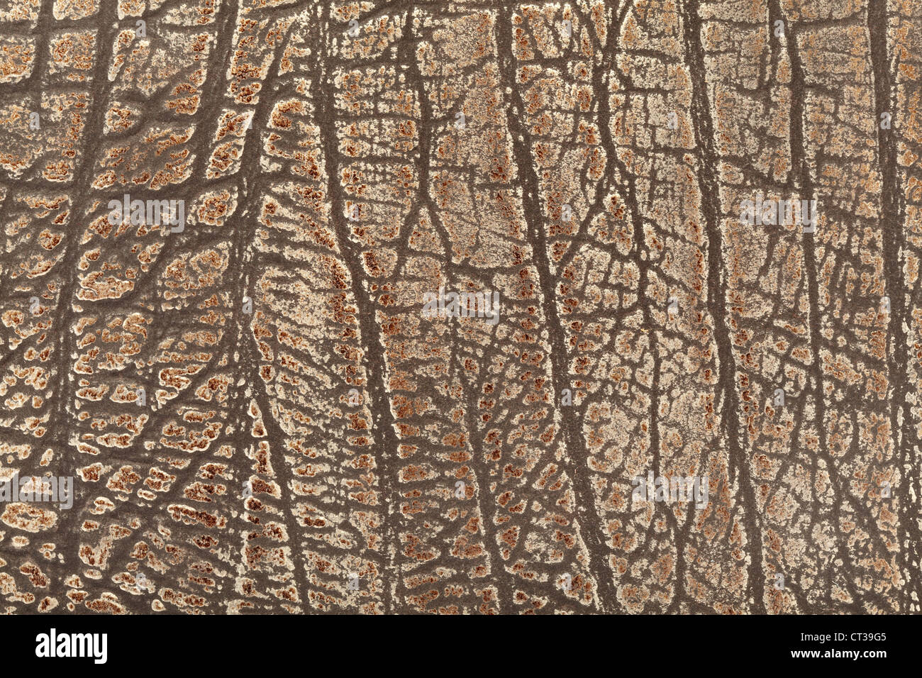 Texture animale Banque de photographies et d’images à haute résolution ...