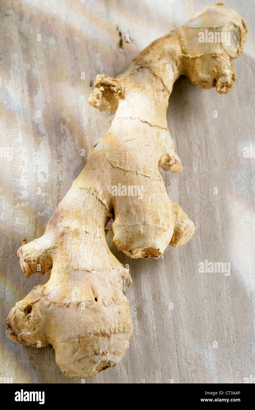 Rhizomes de gingembre Banque de photographies et d’images à haute ...