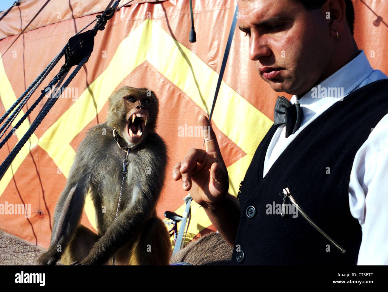 Singe cirque Banque de photographies et d’images à haute résolution - Alamy