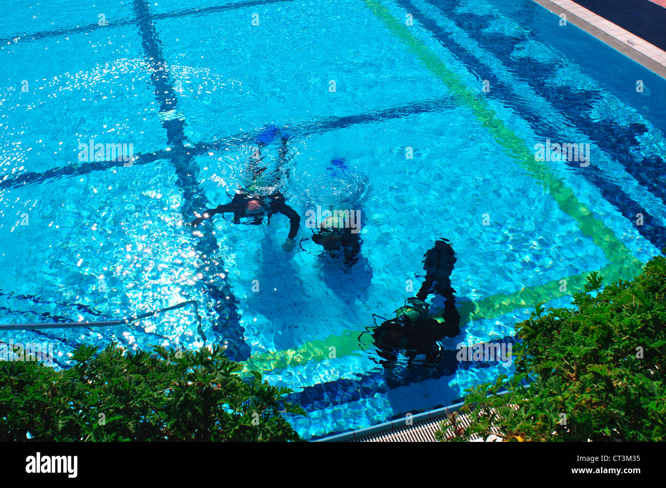 Plongeur dans la piscine Banque de photographies et d’images à haute ...