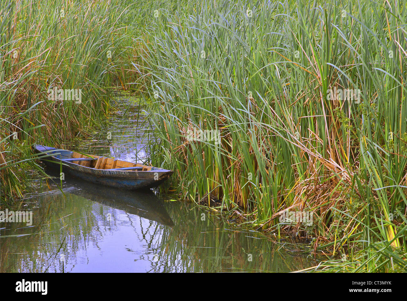 Lac de guier Banque de photographies et d’images à haute résolution - Alamy