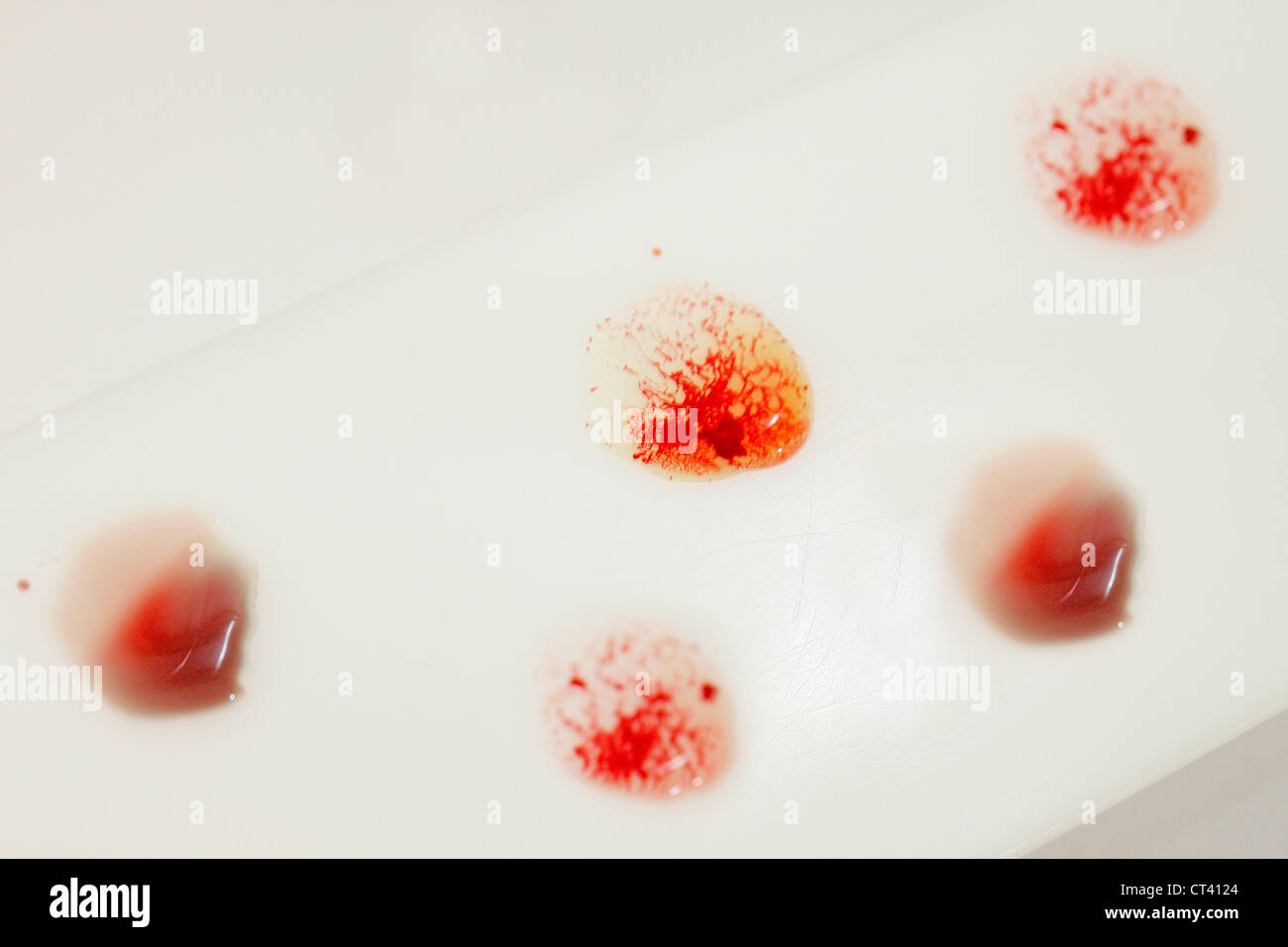 Groupe sanguin abo Banque de photographies et d’images à haute ...