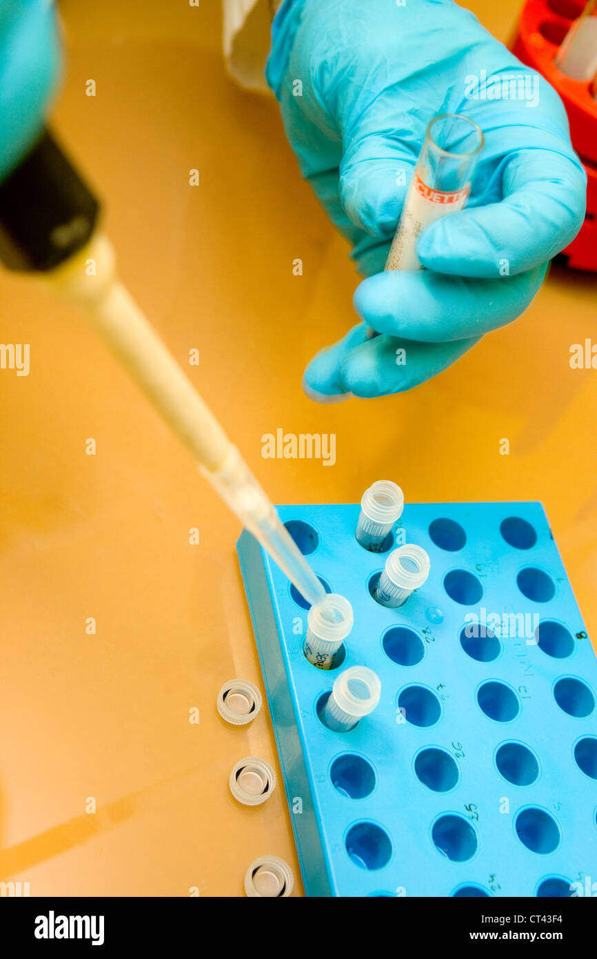 Banque de plasma sanguin Banque de photographies et d’images à haute ...