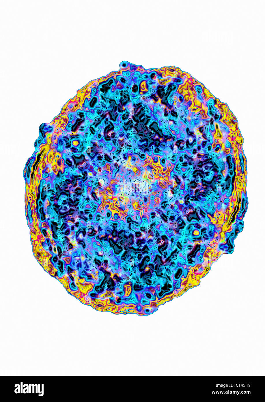 Microscope optique cellule Banque d'images détourées - Alamy