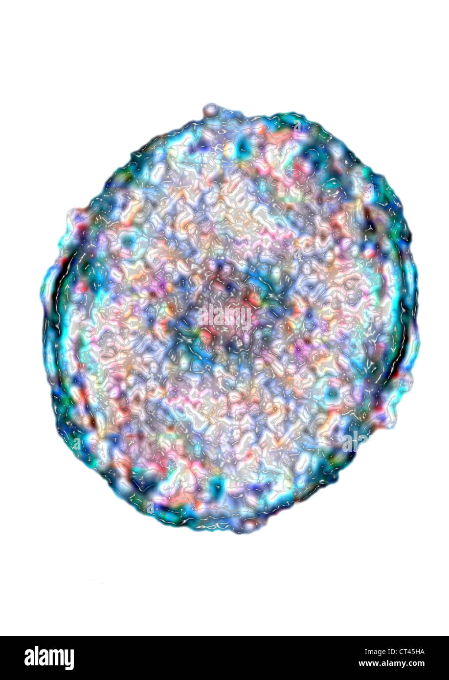 Microscope optique cellule Banque d'images détourées - Alamy