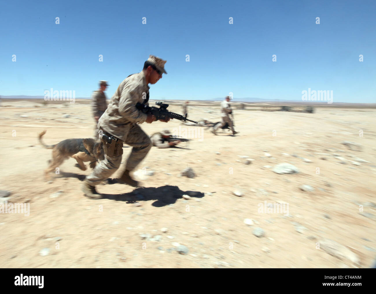 Cpl fidel rodriguez Banque de photographies et d’images à haute ...